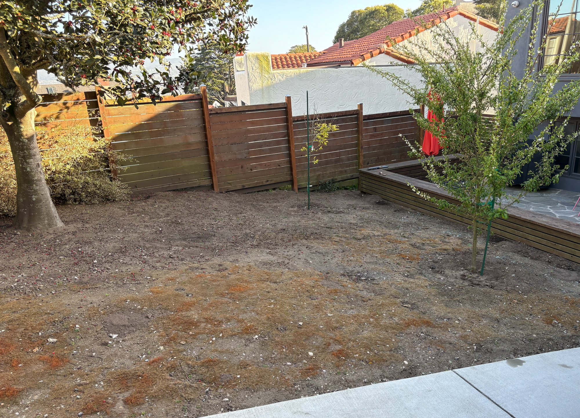 Rhizome Urban Gardens | SF Bay Area Landscape Design & Installation